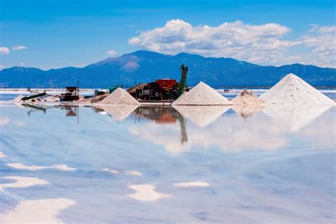 Geografía Del Litio En Argentina Cuáles Son Los Proyectos Que Ya