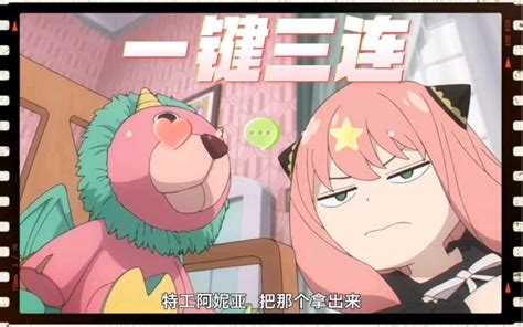 动物萌宠，分享二哔哩哔哩bilibili