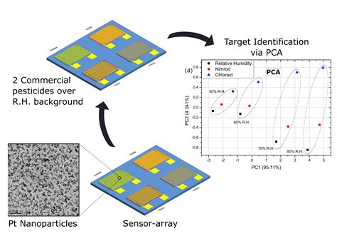 Sensors Free Full Text Identification Of Two Commercial Pesticides By A Nanoparticle Gas
