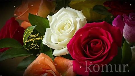 Открытки С Днем рождения Поздравления музыкальные видео и аудио поздравления