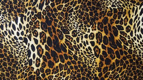 Pictures Of Cheetah Print Wallpaper ·① Wallpapertag