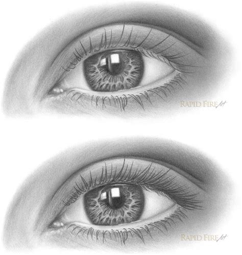 How To Draw Eyelashes In 8 Steps Rapidfireart