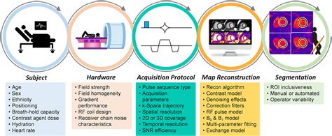 Sources Of Bias And Variability In The Myocardial Mapping Workflow