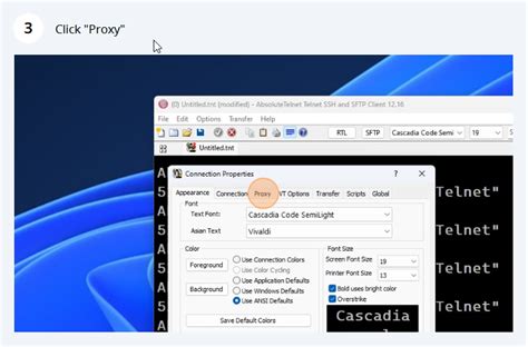 Absolutetelnet Proxy Options Celestial Software