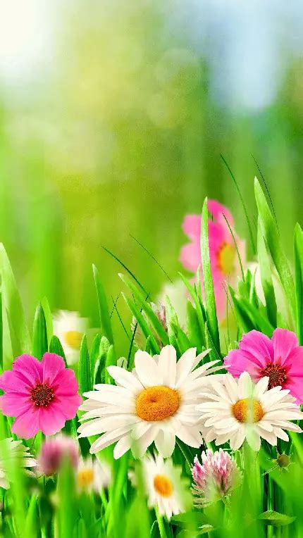 والپیپر فانتزی گل های بهاری دیجیتال مخصوص محیط گوشی