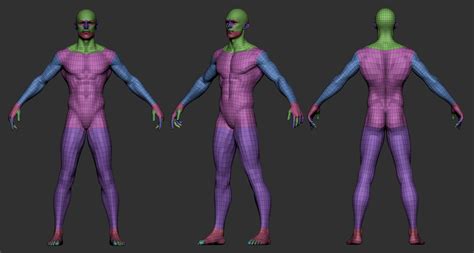 Male Base Mesh For Production1 3d Model 7 Obj Ztl Fbx Free3d