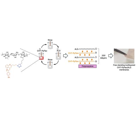 Supralife Supramolecular Multifunctional Biomaterials To Interface With Living Systems
