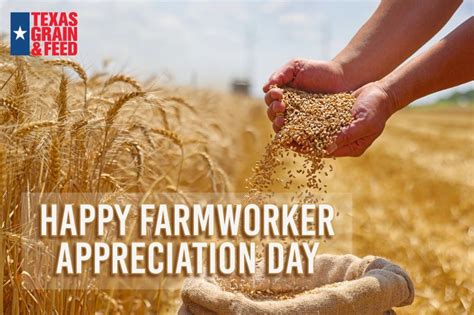 Texas Grain And Feed Association On Linkedin Farmworkers Currently Make