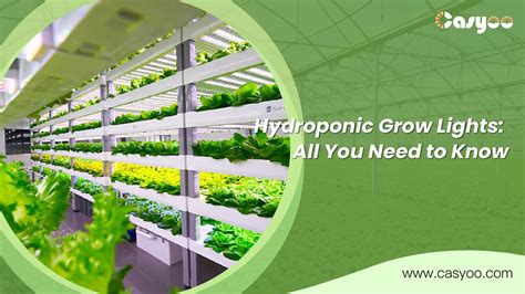 Hydroponic Grow Lights All You Need To Know Casyoo