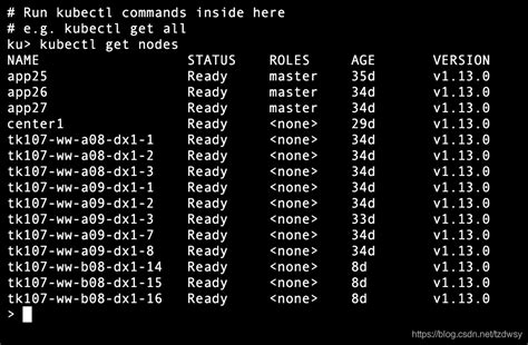 Kubernetes多主master方式部署在k8s中多master集群etcd内置还是外置嗡汤圆的博客 Csdn博客