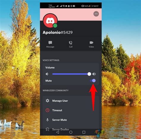 How To Mute Someone On Discord Via Server Mute Or Message Mute