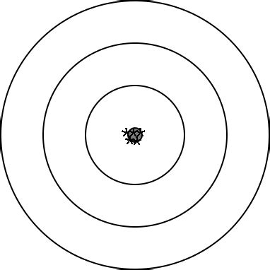 FDTC Chemistry Web Site CHM 110 AccuracyPrecision R7 By Charles