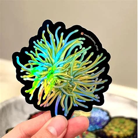 Fun Holy Grail Torch Coral Sticker Holographic Sticker Show Your