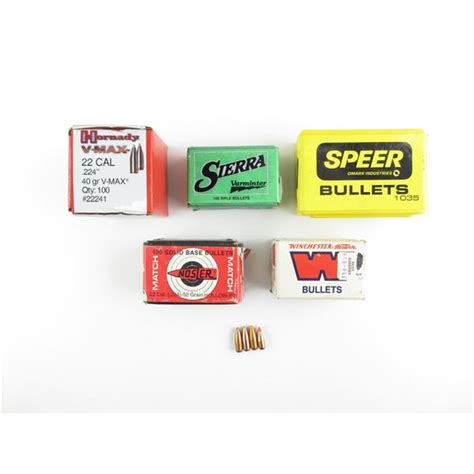 Assorted 22 Cal Bullets Lot