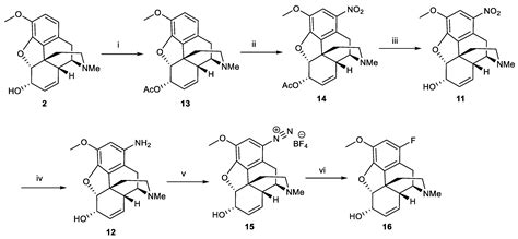 Pharmaceutics Free Full Text Synthesis And Modification Of Morphine And Codeine Leading To