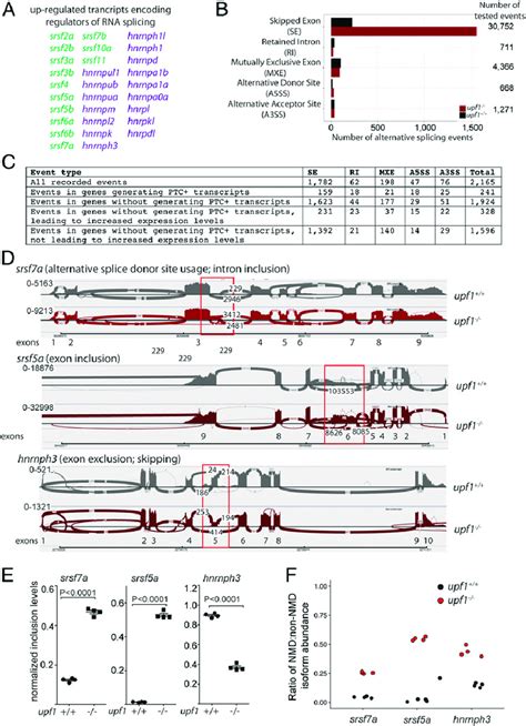 Altered Landscape Of Pre Mrna Splicing In Upf1 Mutants A Examples Of