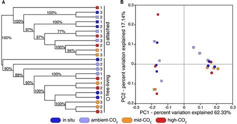 A Clustering Of 23 Arctic Pelagic Microbial Samples Based On Upgma Of