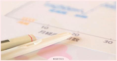 排卵試紙能驗孕嗎？排卵試紙使用時機及使用方式 驗孕、備孕、排卵、排卵試紙 其他 妞新聞 Niusnews