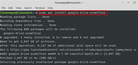 How To Install And Use Google Drive On Linux Mint LinuxWays