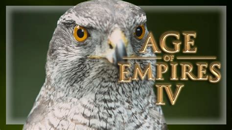 SCHLACHT VON BRÉMULE Age of Empires IV Kampagne 005 YouTube