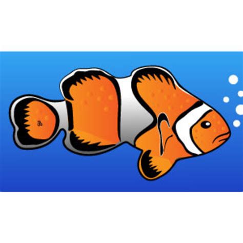 Clownfish Clip Art Freevectors