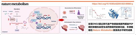 生物活性分子团队 叶文才教授
