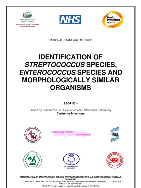 Identification Of Streptococcus Species Enterococcus Species And