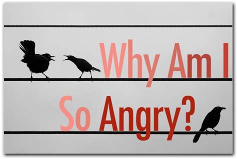Why Am I So Angry Clarity