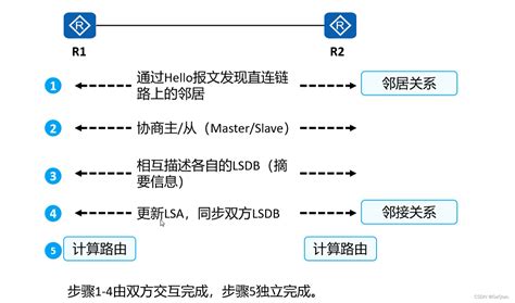 Ospf原理 Csdn博客