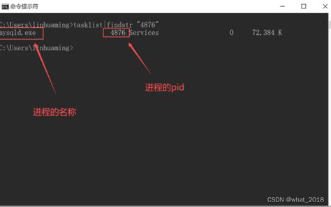 Windows查看端口占用，杀掉进程windows端口占用查看命令 杀掉 Csdn博客