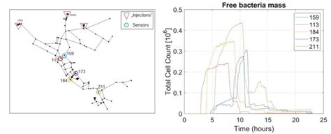 Application Of Bacterial Regrowth Model On EPANET Network Example The