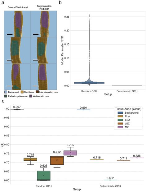 Nf Root A Best Practice Pipeline For Deep Learning Based Analysis Of