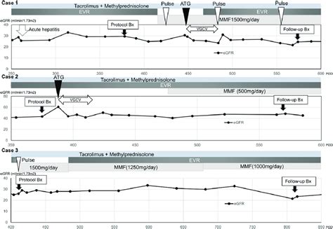 Disease Course Summary Of 3 Cases Of Chronic Active T Cell Mediated
