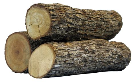 Western Oak Wood Mini Logs Academy