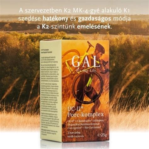 GAL termékek | teljes vitamin kínálat, raktárról | Netbiobolt