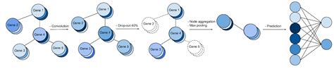 Gene Graph Convolutions Machine Learning And Medicine Lab