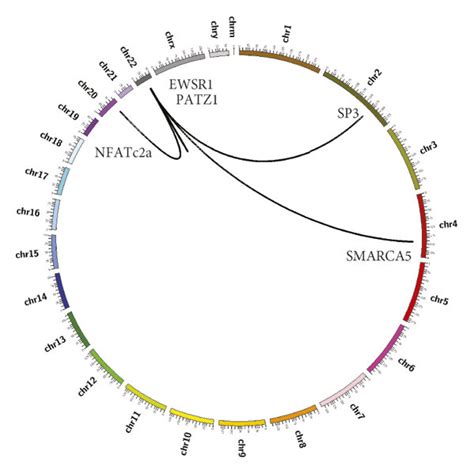 Proposed Who Classification Of Tumours Of Soft Tissue And Bone For
