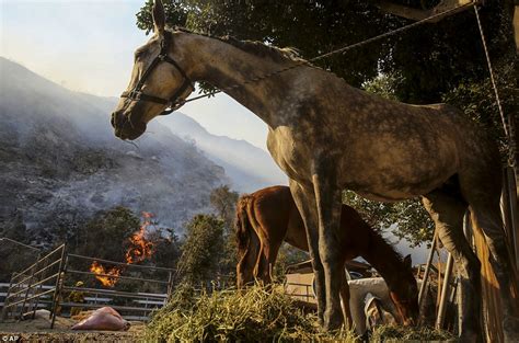 California Blazes Could Merge Into One Super Fire As Crews Continue