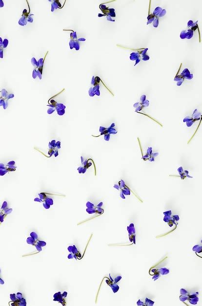 Декоративная рамка из цветов Бесплатно Фото