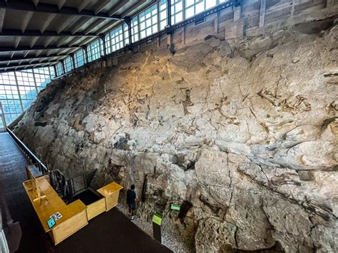 Guide To Exploring Dinosaur National Monument