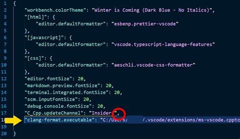 Vsc Tipsclang Format Opty Life
