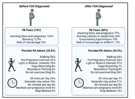 Summary Of Content Analysis Findings Highlighting Physical Activity Download Scientific Diagram
