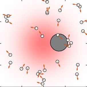 Setup For Our Numerical Case Study A Passive Particle Gray Trapped Download Scientific