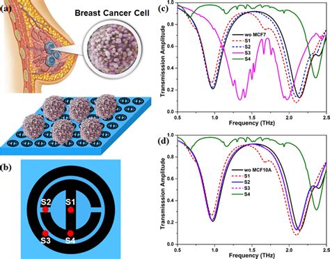 A The Schematic Diagram Of The Breast Cancer Cell And Their Sensing