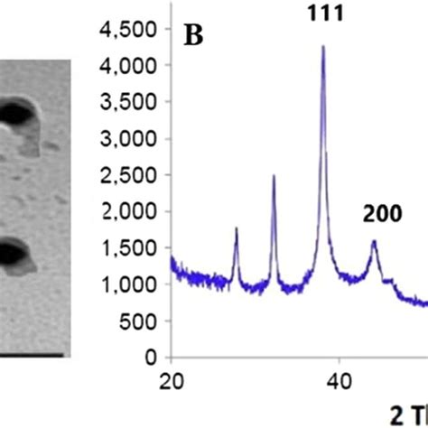 A Tem Analysis Of Agnps B Xrd Pattern Of Synthesized Agnps