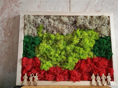 Картина със скандинавски мъх България гр Нови Искър • Olxbg