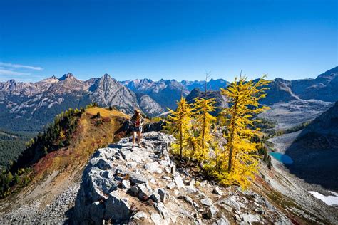 3 Best Hikes To See Larches In The North Cascades Of Washington