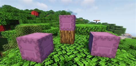 Easy Shulker Boxes For Minecraft 1 21 4
