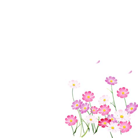 자비드 일러스트 꽃 꽃 칼리그래피 아트 수채화