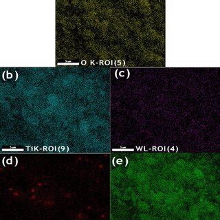 A FE SEM Images For EDX Mapping The Spatial Distribution Of O B The Download Scientific